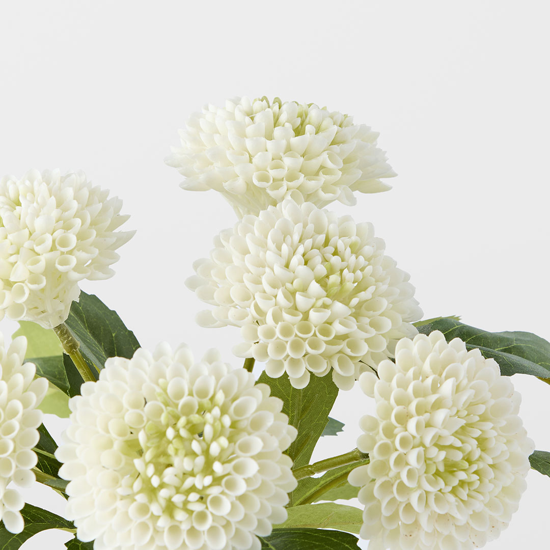 Shop Dahlia in Glass Vase Online | Bed Bath N' Table