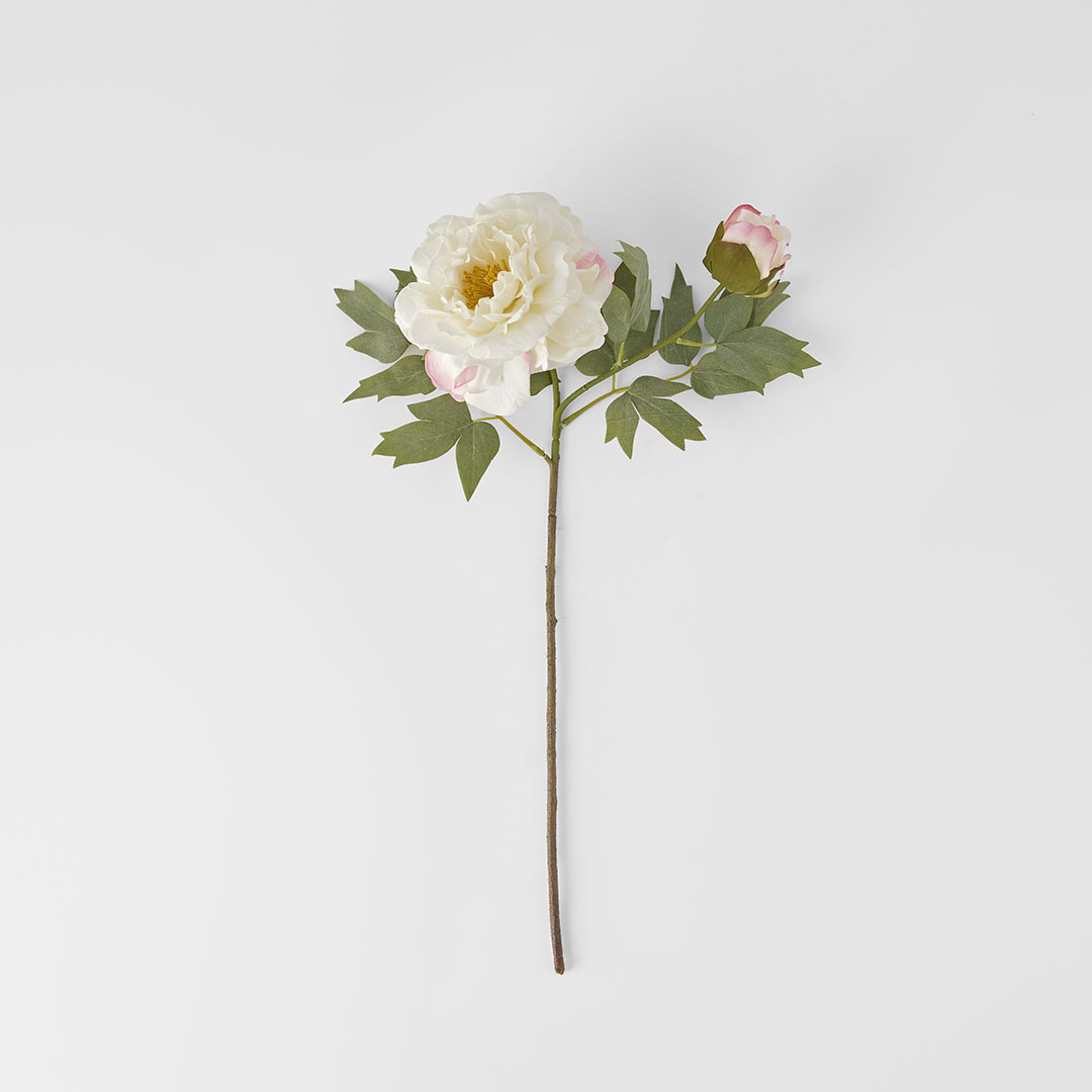 Shop Peony Stem Online | Bed Bath N' Table