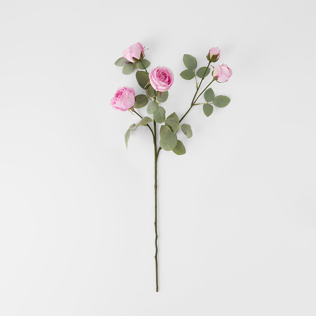 Shop Rose Stem Online | Bed Bath N' Table