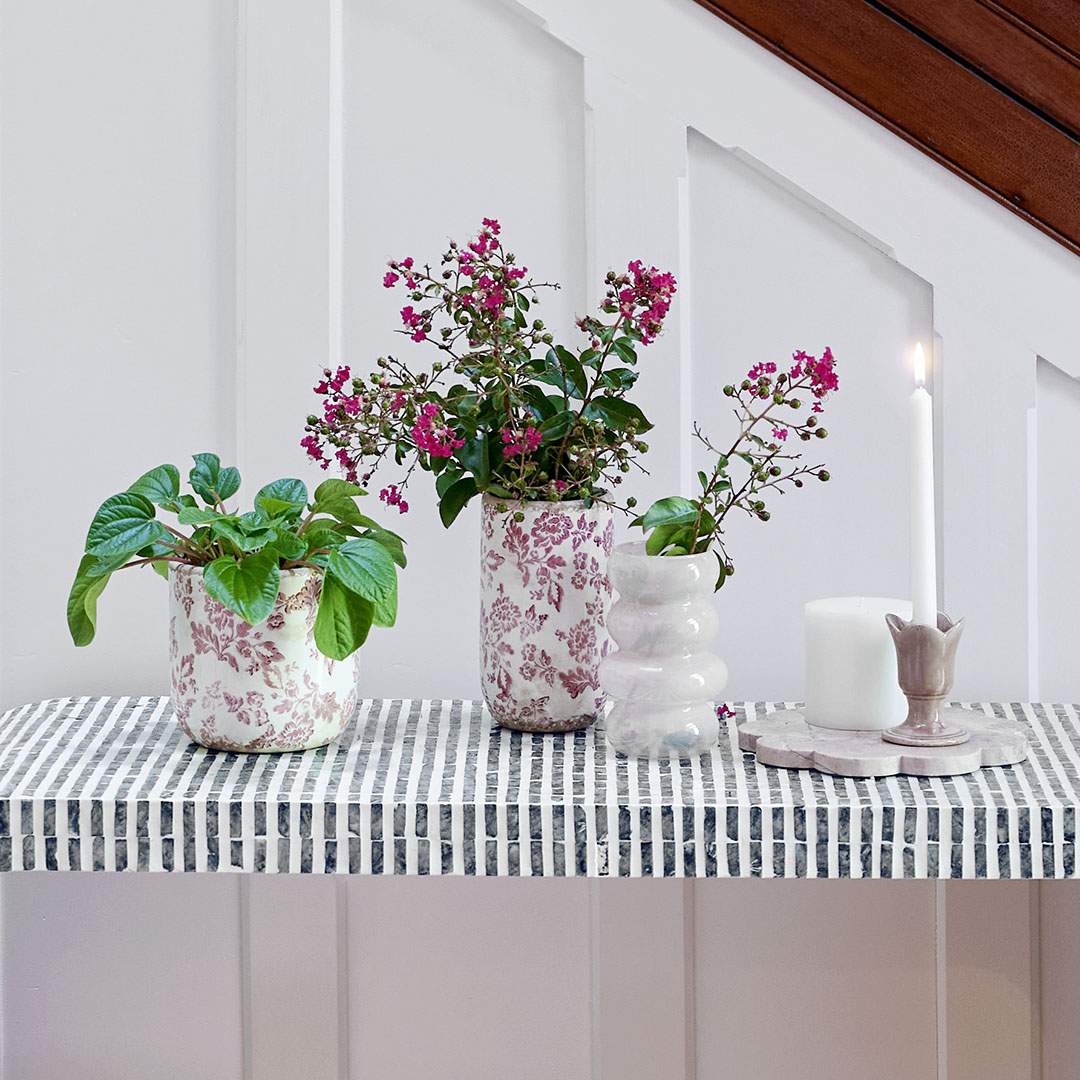 Shop Salma Ceramic Planter Online | Bed Bath N' Table