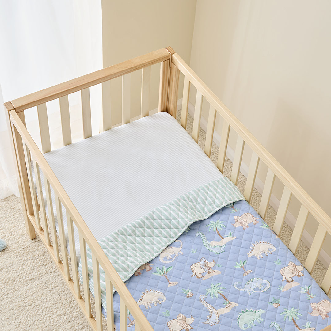 Shop Little Dino Reversible Rectangle Play Mat/Comforter Online | Bed ...