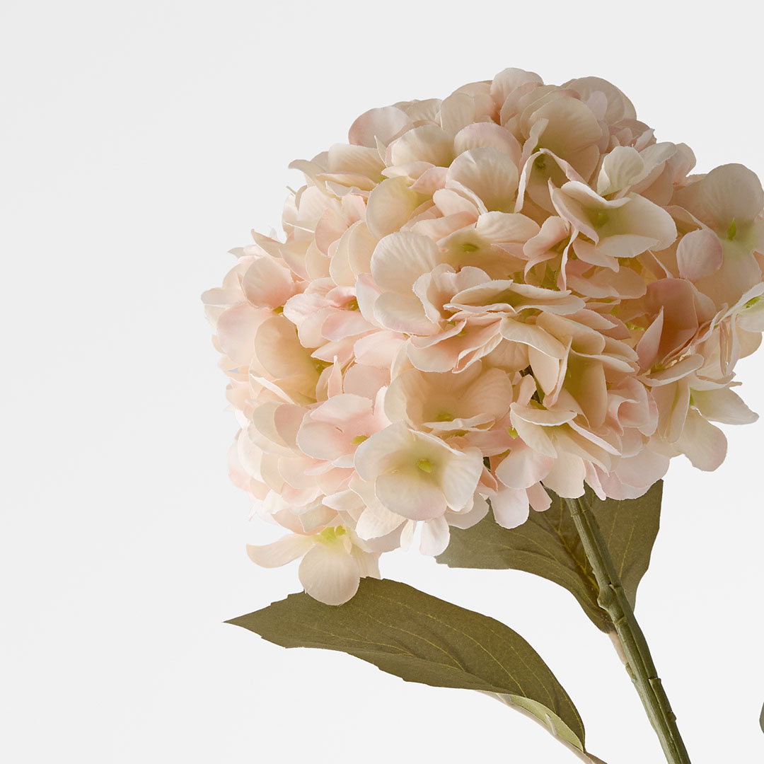 Shop Hydrangea Stem - Peach Online | Bed Bath N'Table