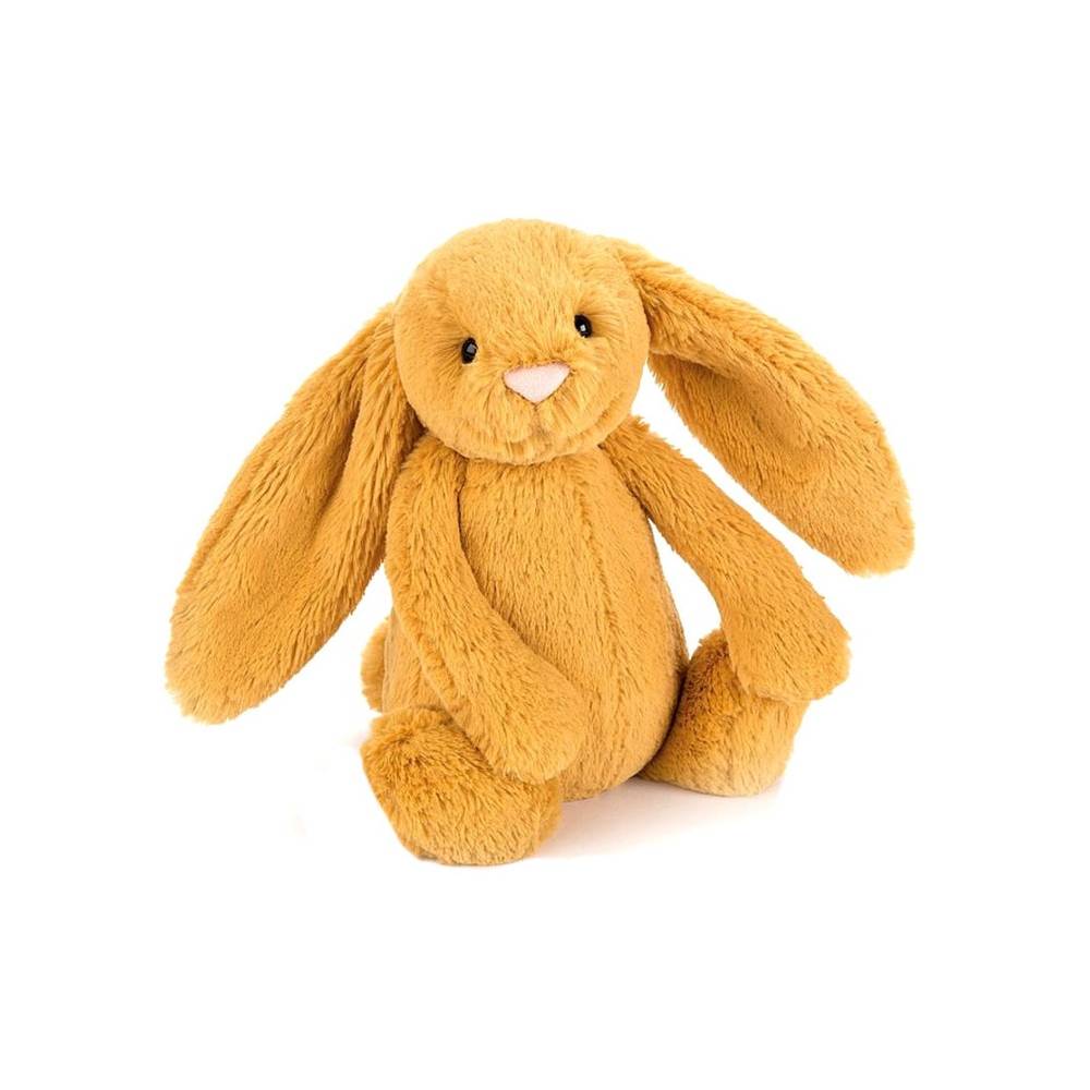 Jellycat - The Magic Bunny Book | Jellycat Multibuy | Jellycat