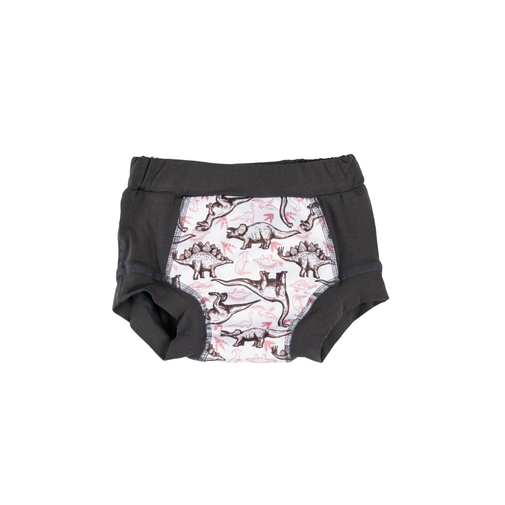Snazzipants Night Time Training Pants - Basics | Toilet Training ...