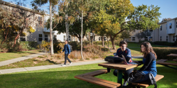 Study at Federation University Australia | Study in Australia