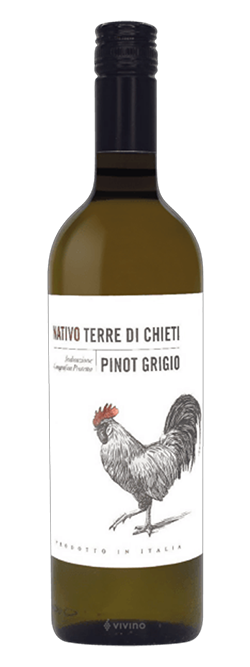 Cantina Tollo Nativo Terre di Chieti Abruzzo Pinot Grigio 2023 | Get ...