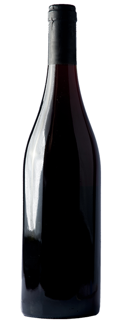 Mr Hugh Mornington Peninsula Pinot Noir 2016 Cleanskin | Buy Wines ...