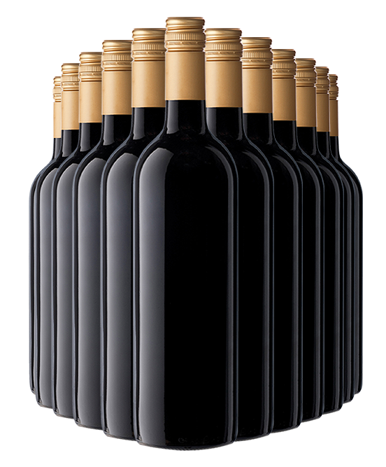 Icon Trophy Winning Winemakers Coonawarra Shiraz 2019 Cleanskin Dozen ...