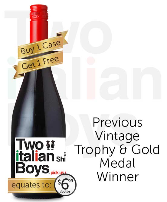 Two Italian Boys Shiraz 2019 | Buy Wines online Australia wide ...