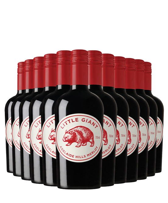 Little Giant Merlot 2021 Dozen | Get Wines Direct