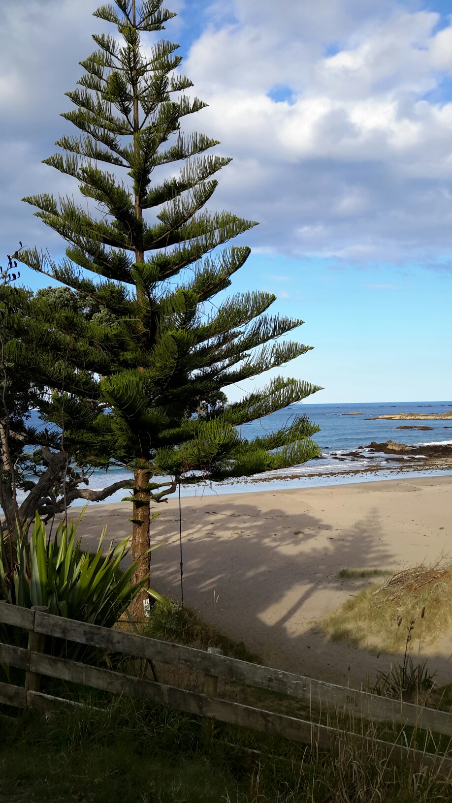 The Pick of the Bunch - Fabulously Cheap Freedom Camping Spots in The ...