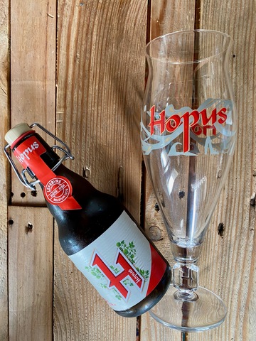Hopus Glass (only) Local Delivery | International Beer Collector