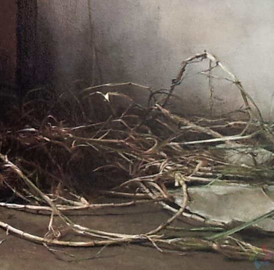 Exhibition: Matt R. Martin's Solo Show | Image Science