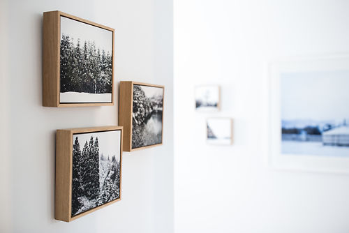 Featured Artist: Anna Wilson | Image Science