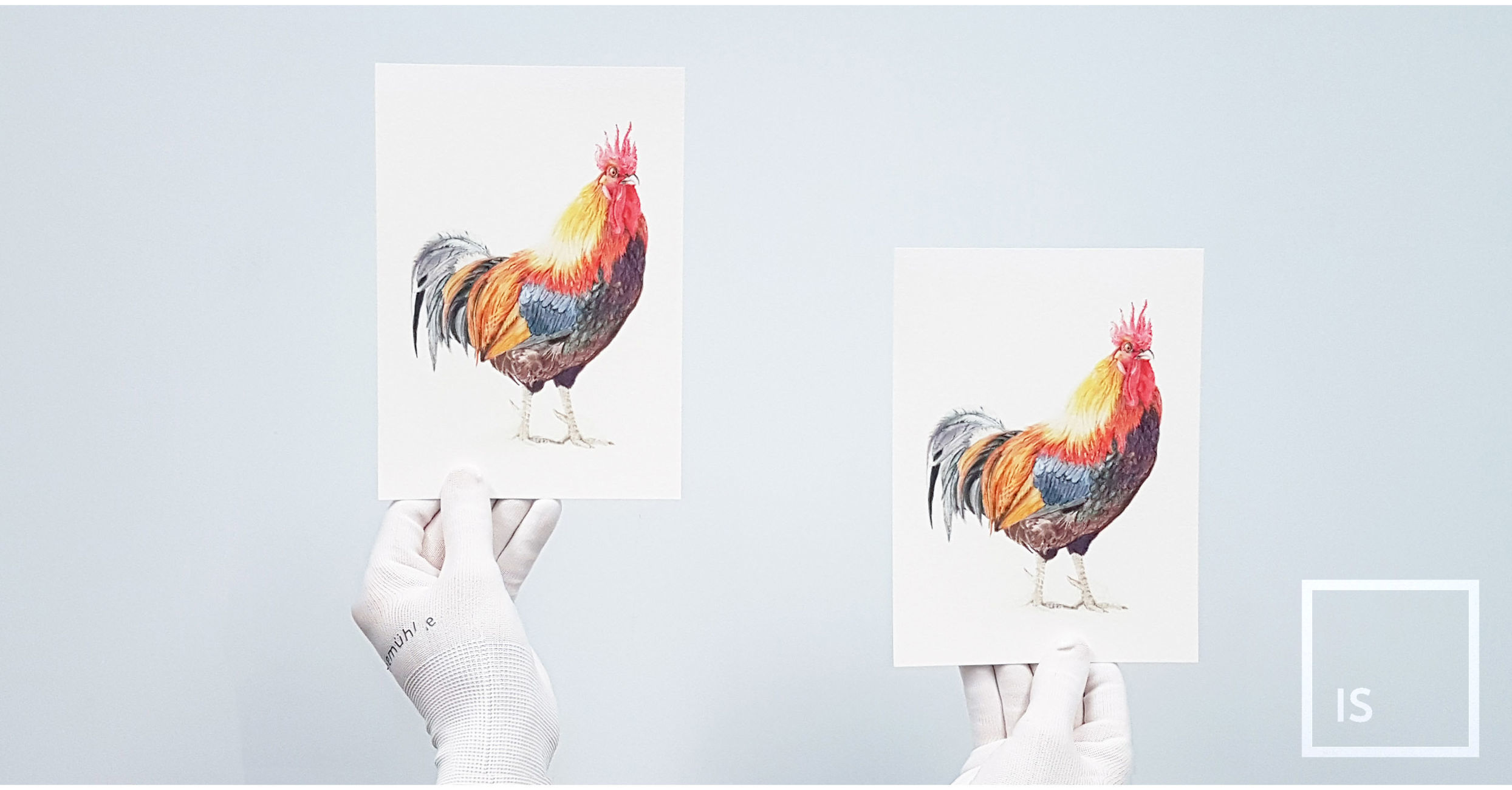 Guide To Setting Up A5 Files For Print | Image Science