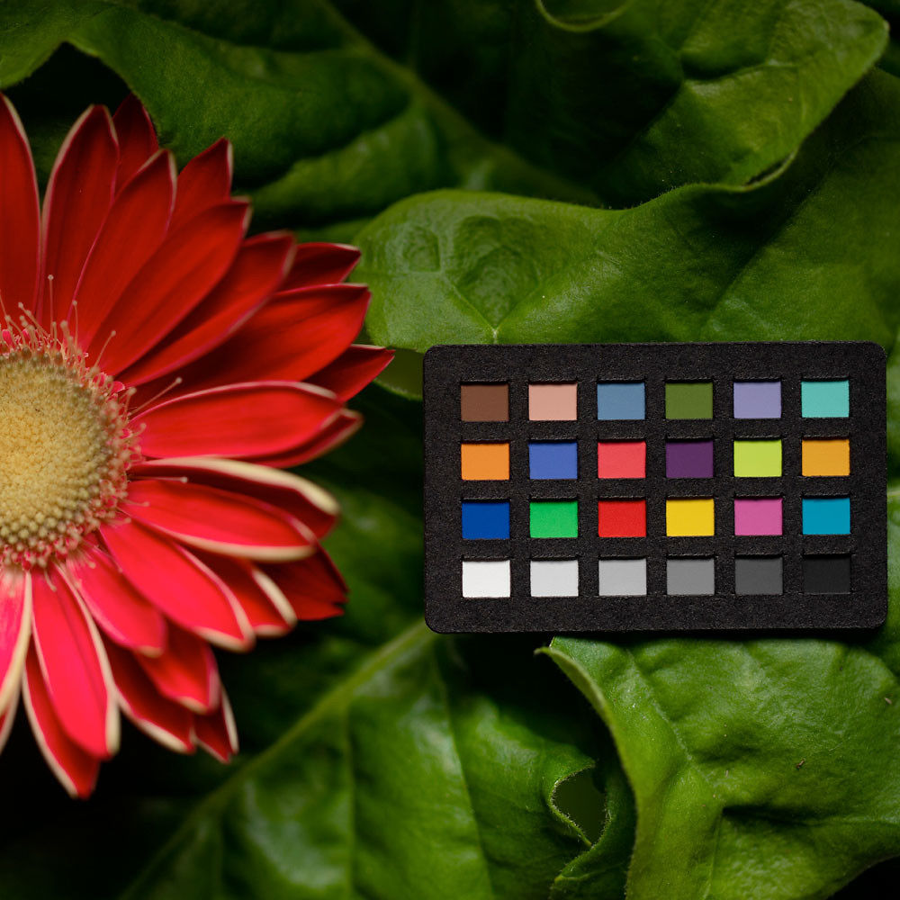 X-Rite ColorChecker NANO Classic | Image Science
