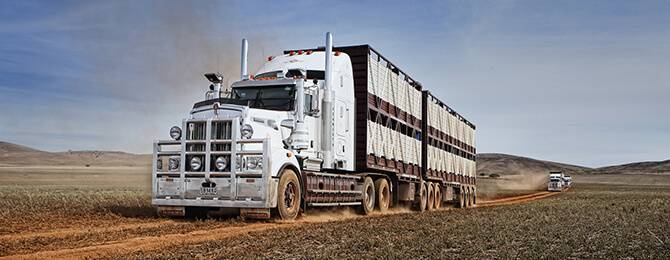 Contact Us | Cavan, SA | CMV Truck Centre