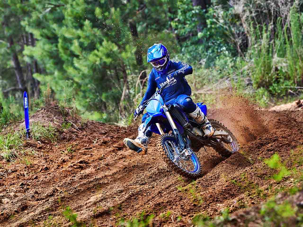 Yamaha YZ85LW for sale at TeamMoto Yamaha Sunshine Coast in ...