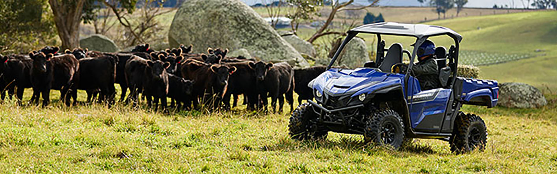 Yamaha WOLVERINE X2 UTILITY for sale at Ultimate Yamaha Springwood in ...