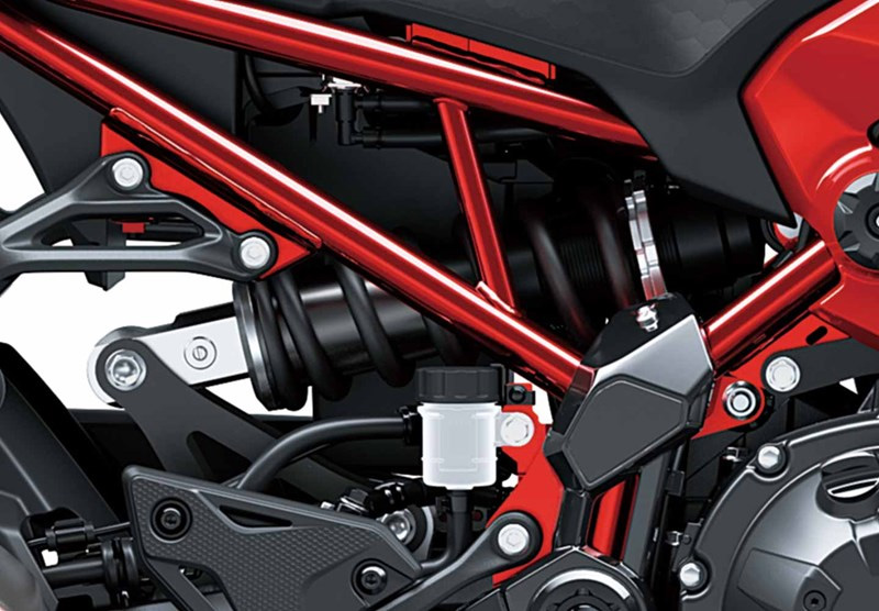 Kawasaki 2025 Z900 For Sale Australia | TeamMoto Authorised Motorcycle ...