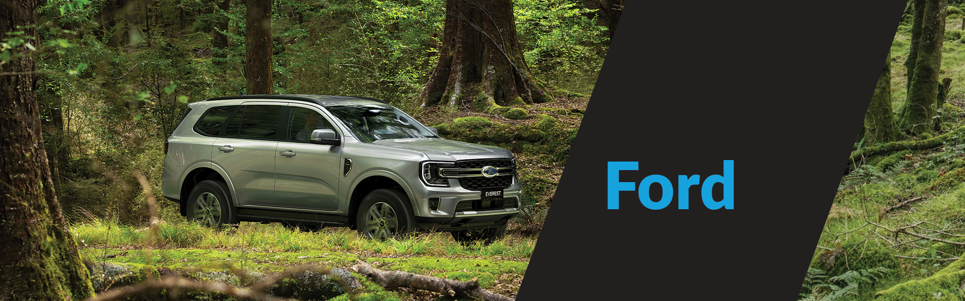 Tasmania's leading used car dealer | Car Sales Tasmania - Jackson Motor ...