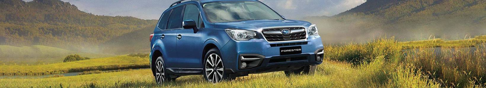 Contact Us | Taree, NSW - Taree Subaru