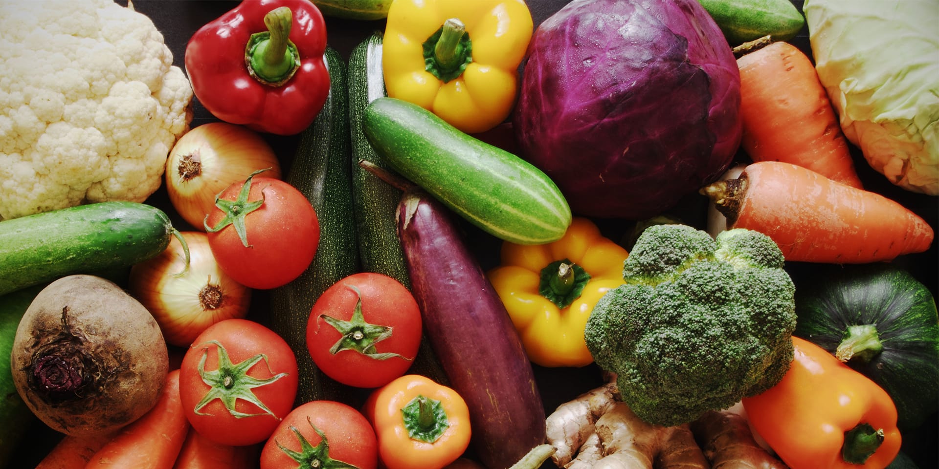 Vegetable Gardening Course - Sydney Short Courses