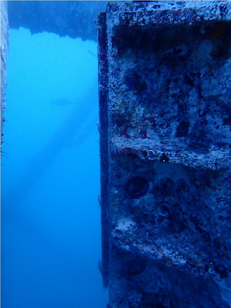 Clamp-Original-1 - Cube Offshore