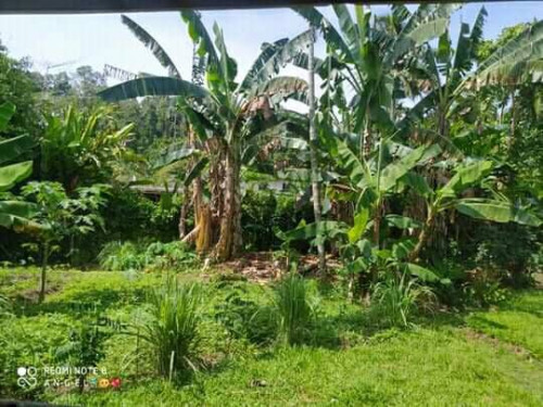 Find all Properties for Sale in PNG