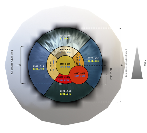mivision education