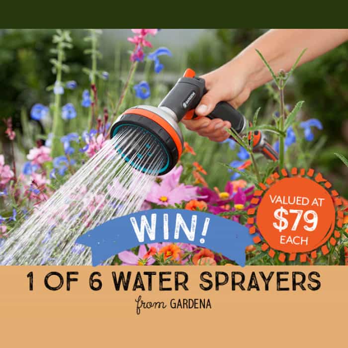 Outdoor | Competition Cloud