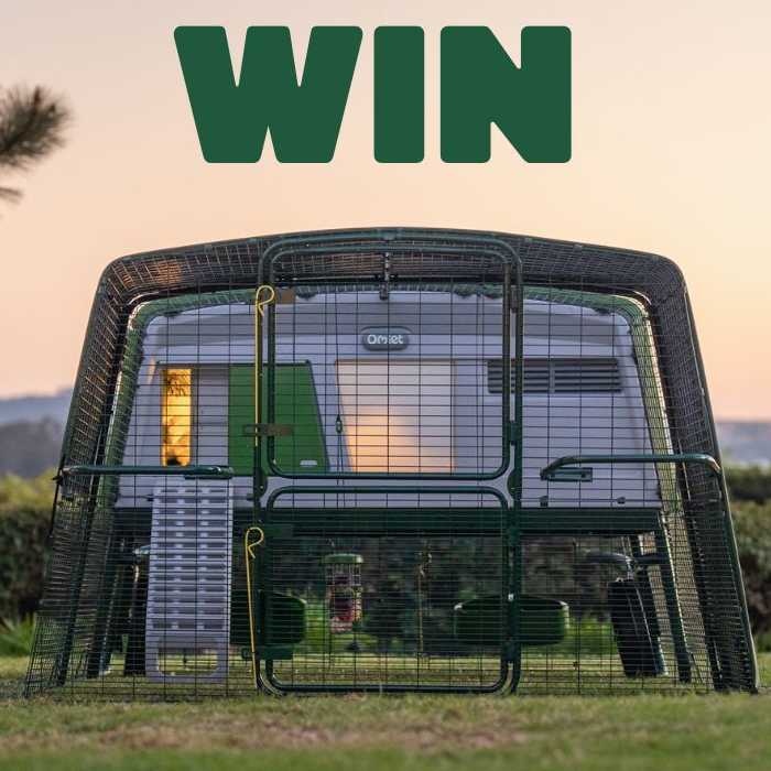 Outdoor Competition Cloud