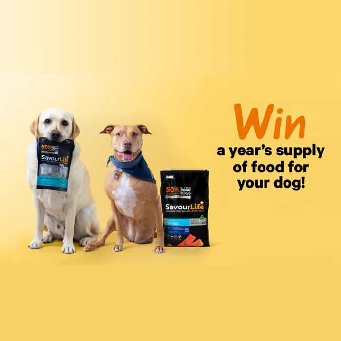 Food and drink | Competition Cloud