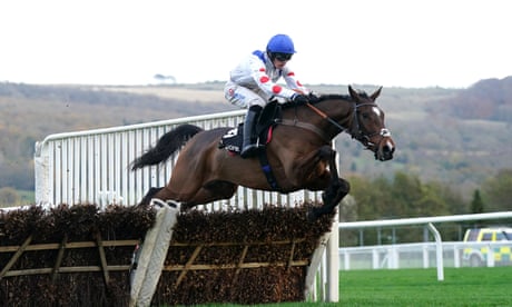 Talking Horses: You Wear It Well offers value, Martin lands 200-1 shock