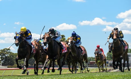 Australian Veterinary Association strengthens policy against the use of ...