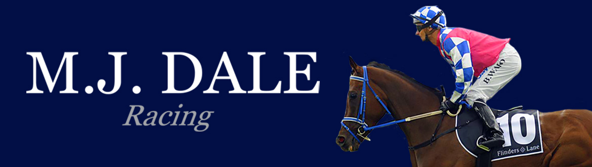 M J Dale Racing | Australian Horse Trainer | Canberra ACT