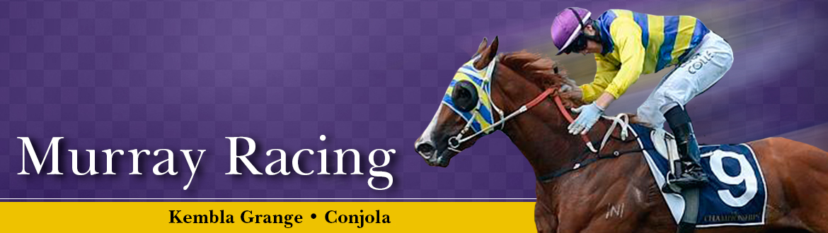 Horse Trainer Profile - Murray Racing