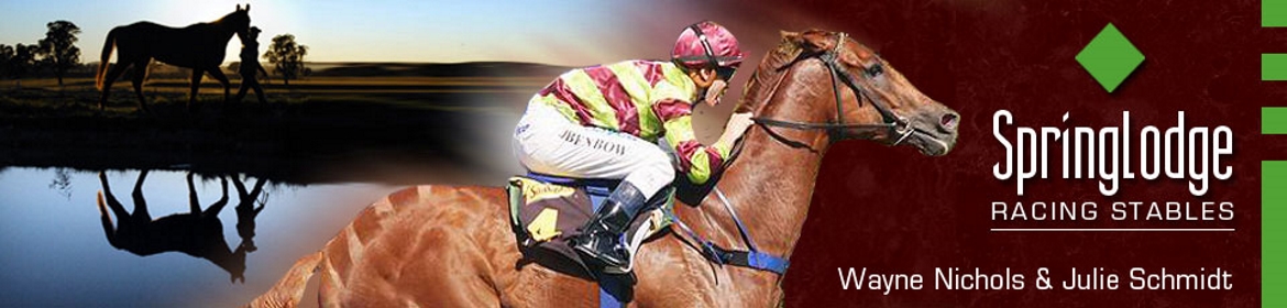 Australian Horse Trainer | Wayne Nichols Racing