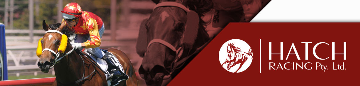 Australian Horse Trainer | Hatch Racing