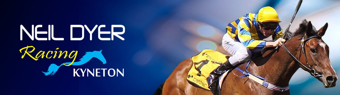 Australian Horse Trainer | Neil Dyer Racing | Services