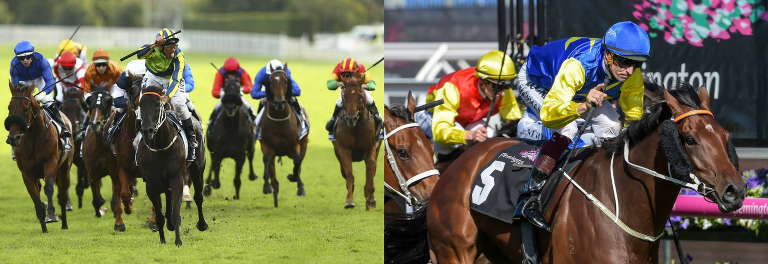 Australian Horse Trainer | Kris Lees Racing