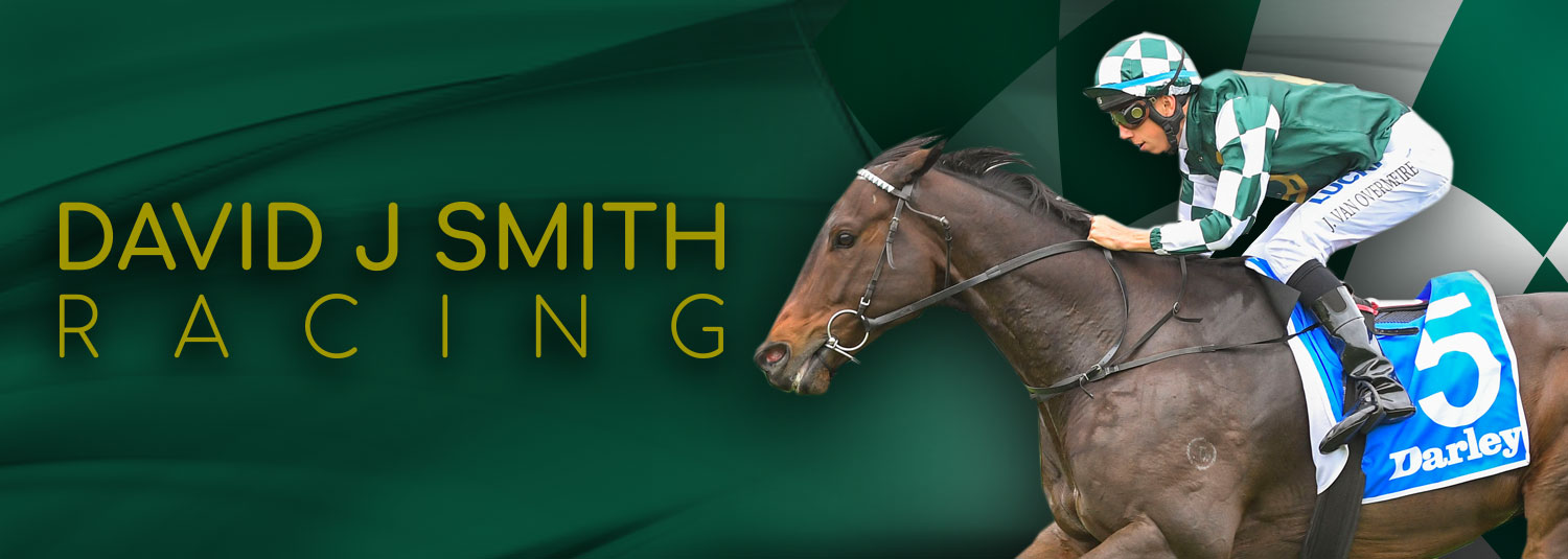 Australian Horse Trainer - David J Smith Racing