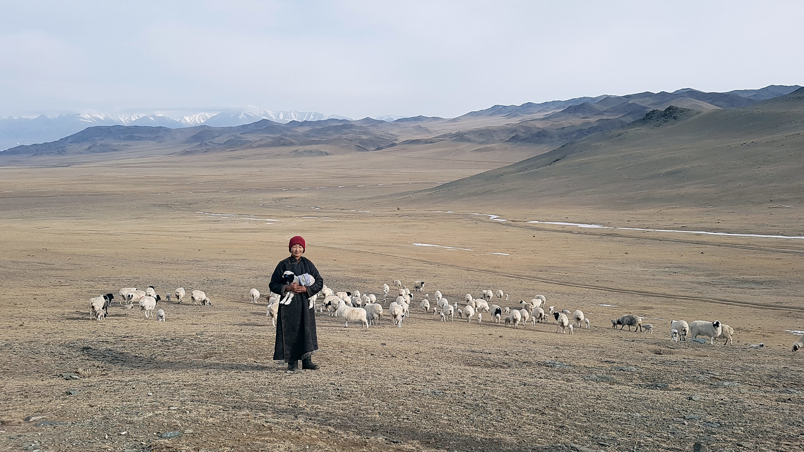 When to visit Mongolia — Travel Mongolia Your Way | Mongolian Ways