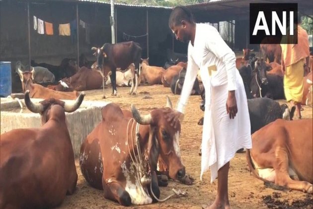 Sadhus at UP's Ayodhya shelter look after 300 cows - Move FM News