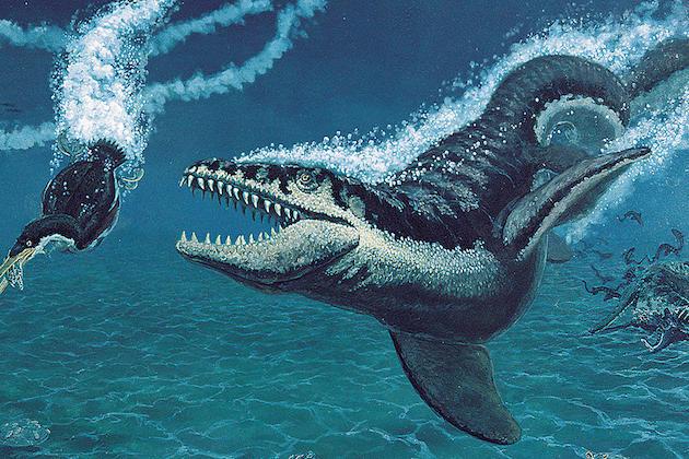 Rare fossil of extinct aquatic reptile found in southern Israel - Move ...