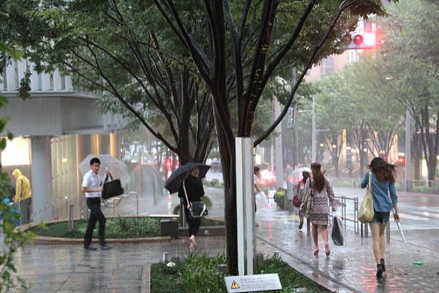 Typhoon brings high winds, floods to southern Japan, Tokyo - Move FM News