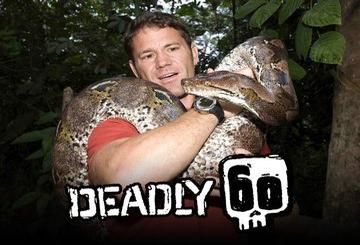 Deadly 60 TV Show - Australian TV Guide - 9Entertainment