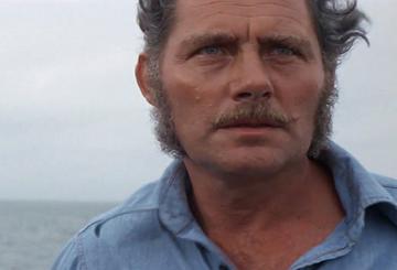 Jaws TV Show - Australian TV Guide - 9Entertainment