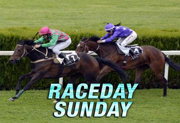 Raceday Sunday TV Show - Australian TV Guide - 9Entertainment