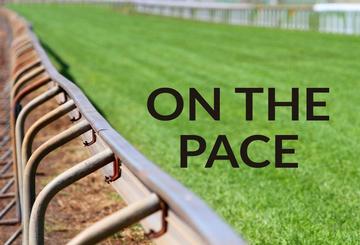 On the Pace TV Show - Australian TV Guide - 9Entertainment